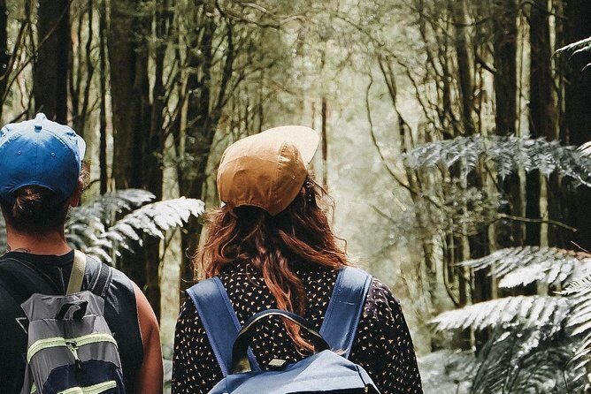 12 Apostles, Otways & Great Ocean Road Day Tour - 8 person max - FAQ