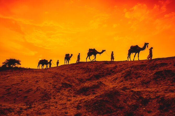 12 Day Classic Rajasthan Tour - Taj Mahal Tigers Lakes & Wildlife - The Sum Up: Is This Tour Right for You?