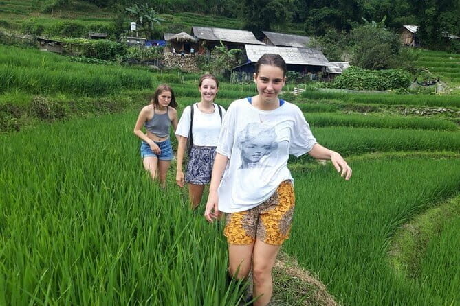 12 Day Cross Vietnam and Siem Reap Tour - A Deep Dive into the Itinerary