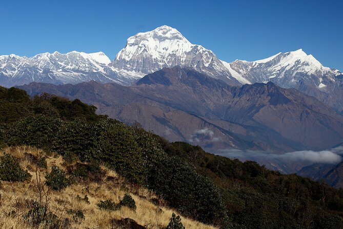 12-Day Nepal Adventure Trek with Jungle Safari - The Bottom Line: Who Is This Tour Perfect For?