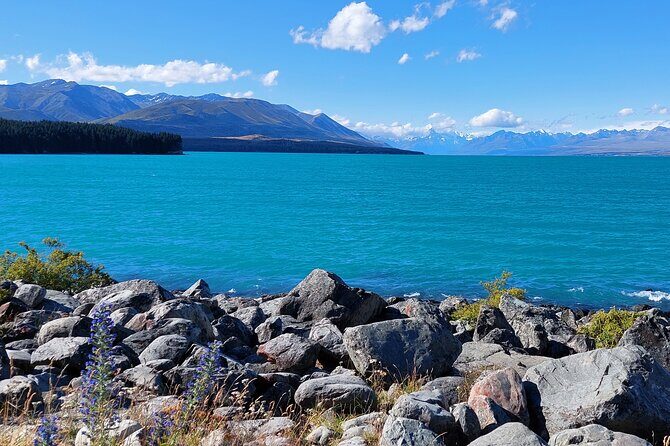 12 Day New Zealand Private Tour from Auckland to Stewart Island - Stewart Island: Ending with Wilderness