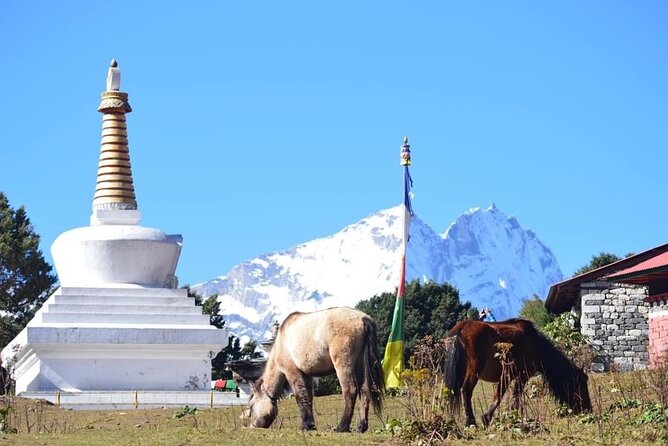 12 Day Private Mt. Everest View Luxury Trek - The Value of the Price