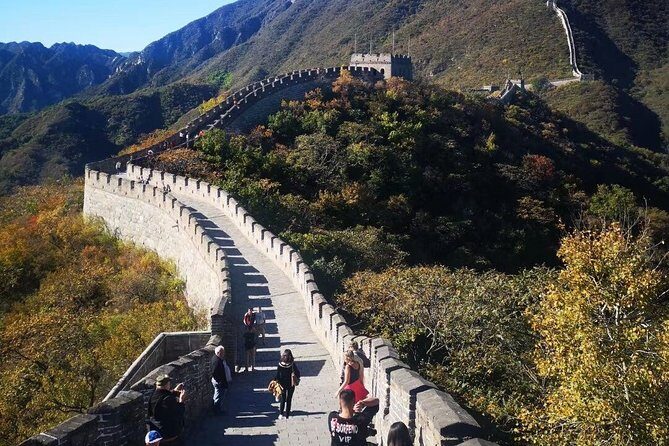 12-Day Private tour to Chengdu, Chongqing,Yangtze River, Zhangjiajie & Beijing - Zhangjiajie: From Nature to Movie Magic