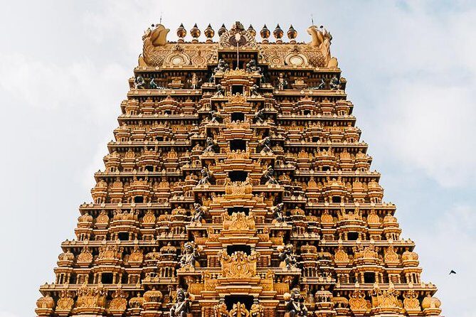 12 days 11 nights Ancients city exploer with Holiday Walkers Sri Lanka - Who This Tour Is Best For