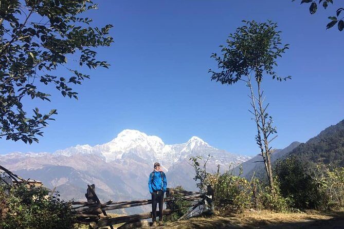 12 Days Annapurna Round Trek from Pokhara - Why This Trek Is Worth the Cost