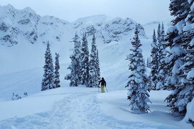 12 Days Powder Highway Ski and Snowboard Tour - Who Is This Tour Best For?