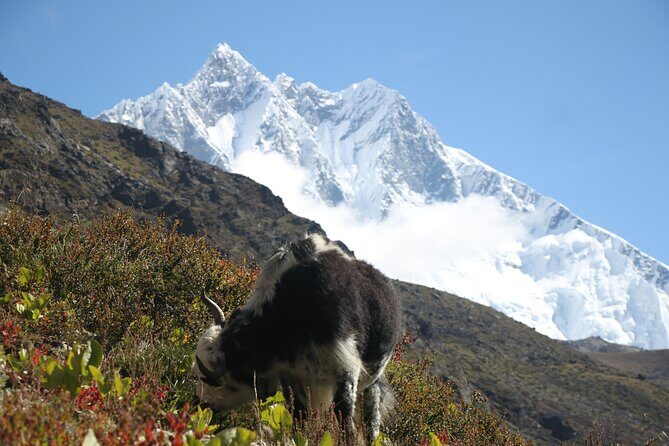 12 Days Private Everest Camp Base Tour from Kathmandu - FAQ