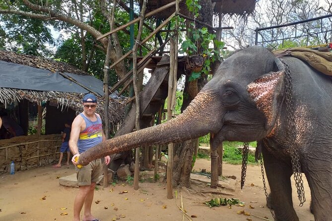 12 Days Sri Lanka Island Adventure and Wild Tour - FAQ