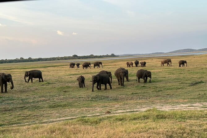 12 Days Tour Grand Discovery of Sri Lanka - Value and Price: Is It Worth It?