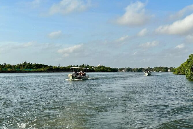 12 Days Tour Grand Discovery of Sri Lanka - Practical Details and Considerations