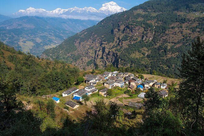 12 Days Trek Tour in Nepal - What the Reviews Say