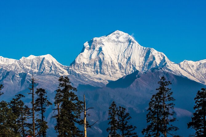 12 Days Trek Tour in Nepal - FAQ
