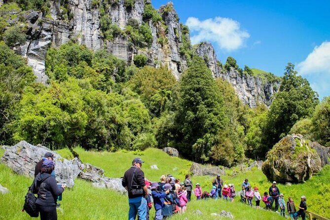12-Hour LOTR Trollshaws & Waitomo Glowworm Tour - Authentic Experience and Practical Tips
