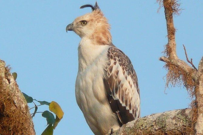 12 Nights Wild Life & Nature Tour - The Value of This Tour