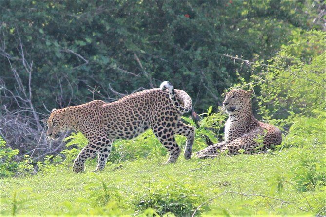12 Nights Wild Life & Nature Tour - FAQ