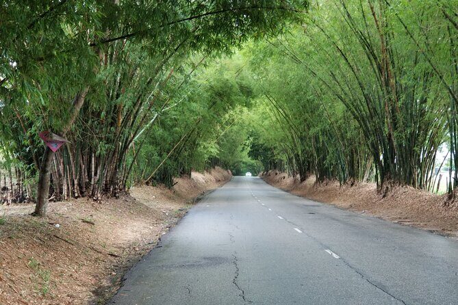 13. Appleton Rum Estate & Black River Safari Private Guided Combo all day tour - Frequently Asked Questions