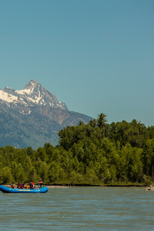 13-Mile Snake River Scenic Rafting Experience from Jackson - Authentic Feedback from Travelers