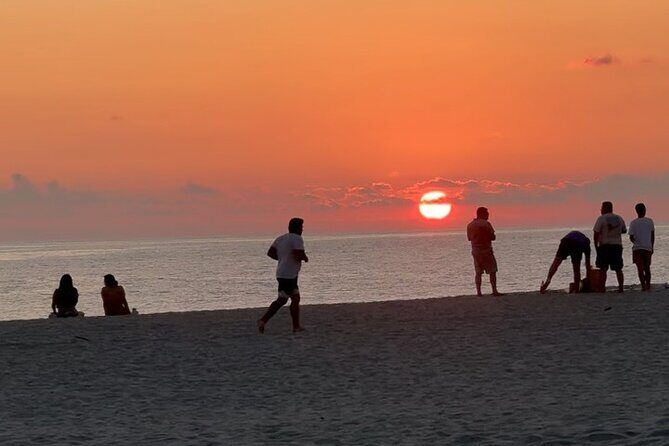 14 Day Beach Paradise Tour in Puerto Escondido Mexico - Day 2: Encountering Marine Wildlife and Scenic Views
