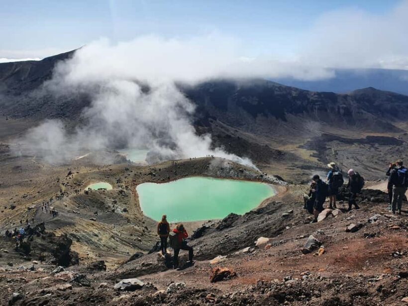 14 Day Northern Kiwi Small Group Tour - Exploring the North Island: An In-Depth Look at the 14-Day Tour