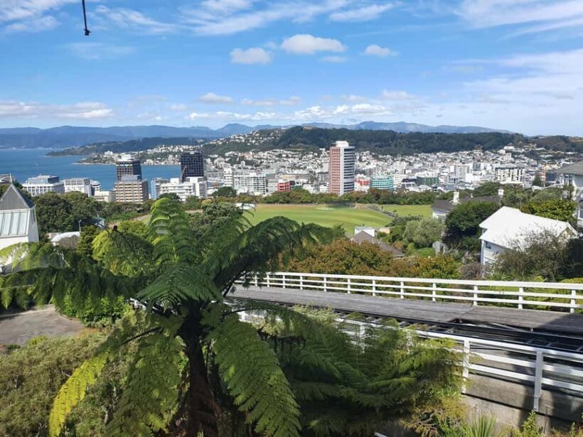 14 Day Northern Kiwi Small Group Tour - Who Is This Tour Best For?