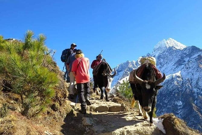 14-Day Private Guided Photo Tour of Kathmandu and Upper Mustang - Final Days: Returning to the Vibrant, Lush Landscape