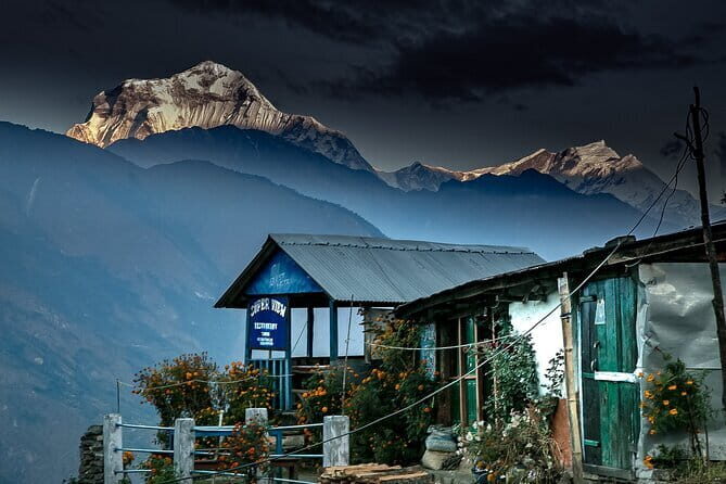14-Day Private Guided Photo Tour of Kathmandu and Upper Mustang - The Practical Side: Logistics, Value, and Experience