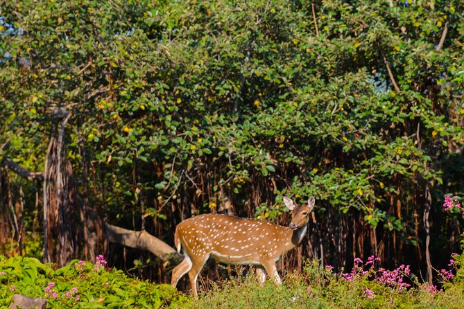 14-Day Private Tour in Sri Lanka - What Makes This Tour Stand Out