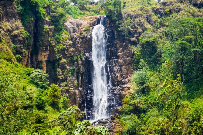 14-Day Private Tour in Sri Lanka - Who Should Consider This Tour?