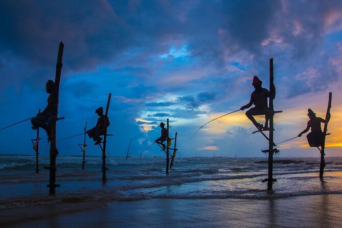 14-Days Private Tour in Sri Lanka with Pick Up - Key Points