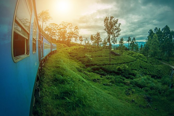 14 Days Sri Lanka Tour - Explore Sri Lanka - Who Will Love This Tour?