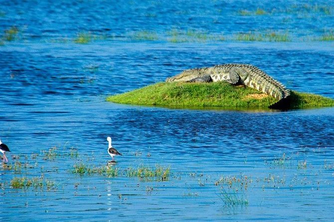 14 Days Sri Lanka Tour - Explore Sri Lanka - The Sum Up