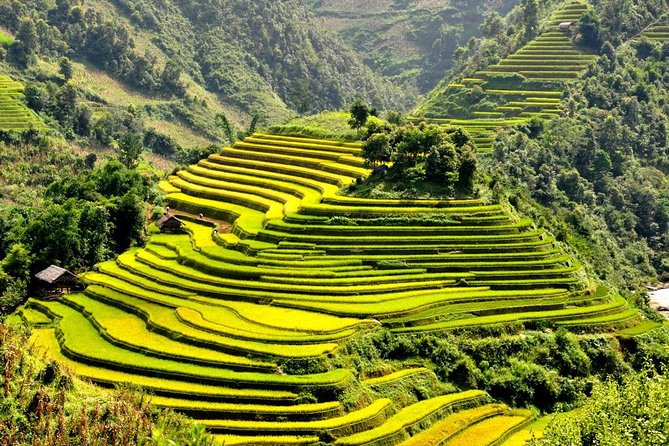 15-Day Majestic Vietnam FULL Package - 68% OFF + Bonuses - Final Thoughts: Who Is This Tour Best For?
