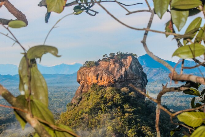 15-Day Tour in Sri Lanka with Private Driver - A Day-by-Day Breakdown of the Itinerary