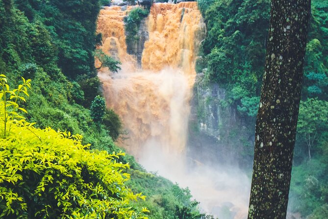 15-Day Tour in Sri Lanka with Private Driver - The Value of This Tour