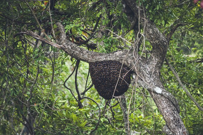 15-Day Tour in Sri Lanka with Private Driver - Final Reflection