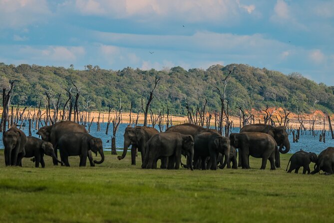 15-Day Tour in Sri Lanka with Private Driver - FAQs