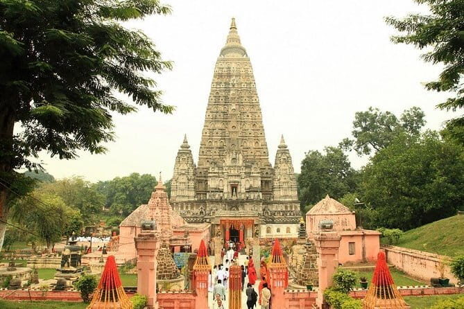 15 Days - Golden Triangle Tour with Buddhist Circuit - Transportation and Comfort
