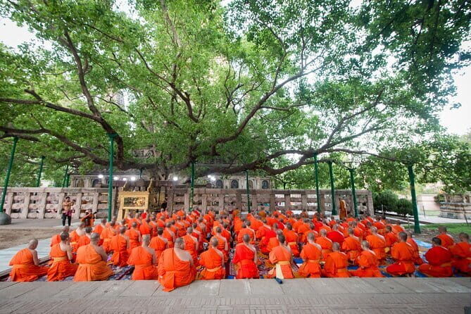 15 Days - Golden Triangle Tour with Buddhist Circuit - Who Will Love This Tour?