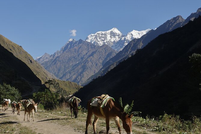 15 Days Manaslu Circuit Trek - FAQ