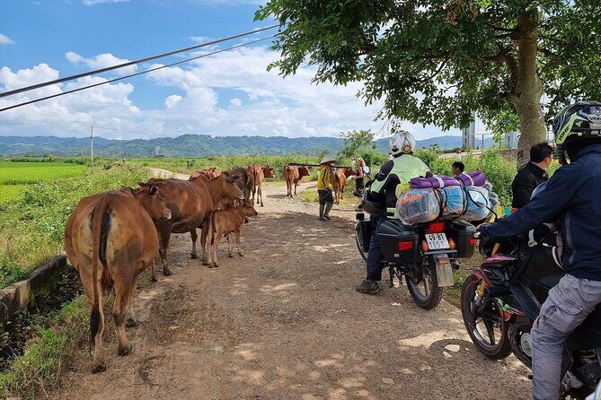 15 Days Motorbike Tour from Saigon to Hanoi - The Sum Up