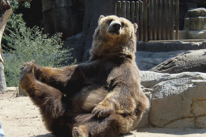 15 Days Private Tour in Romania, Moldova and Transnistria - Final Thoughts