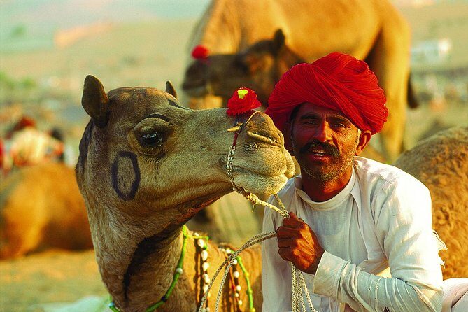 16-Days Rajasthan Tour with Agra from Delhi by,Includes,Guide,Hotels,A-C Vehicle - Detailed Review of the Tour