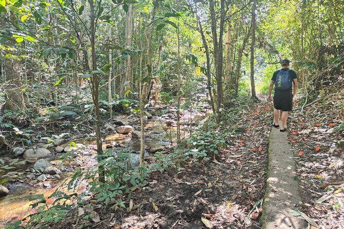 16 Lines Zipline, Cave, Hiking & Biausevu Waterfall Combo Tour - Real Traveler Perspectives