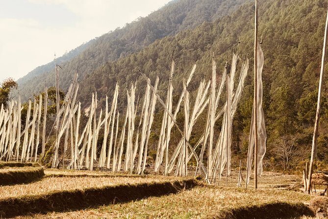 17-Day Private Nature Trip and Birding in Bhutan - Who Will Love This Tour?