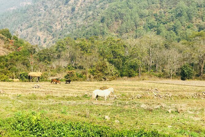 17-Day Private Nature Trip and Birding in Bhutan - Final Thoughts