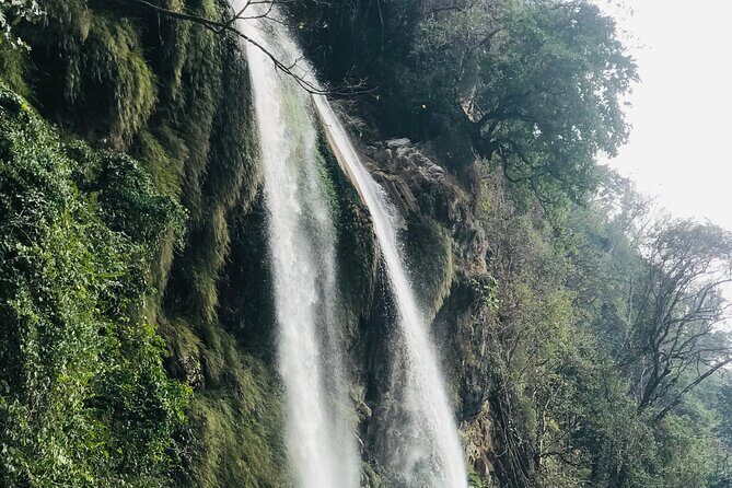 17-Day Private Nature Trip and Birding in Bhutan - FAQs
