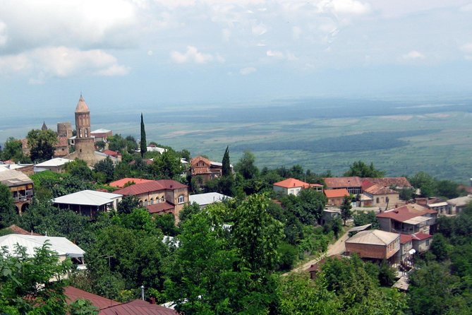 17 Day Private Tour through Georgia - The Practical Side: What to Expect