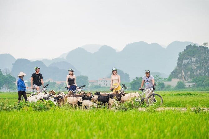 17-Day Vietnam Tour | Explore the Best Highlights of Vietnam - Venturing into Nature and Rural Life: Pu Luong & Ninh Binh