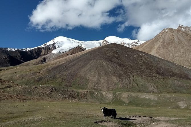17 Days Trekking Shimshal Pass Manglik Sar (6050m Peak Pakistan - Exploring the 17-Day Trekking Adventure to Shimshal Pass and Manglik Sar Peak