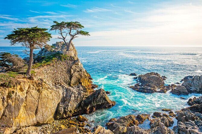 17 Mile and Pebble Beach Tour from Los Angeles to San Francisco - What Travelers Can Expect